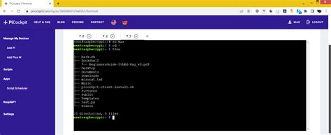 Få En Gratis Raspberry Pi 5 Till Påsk Picockpit