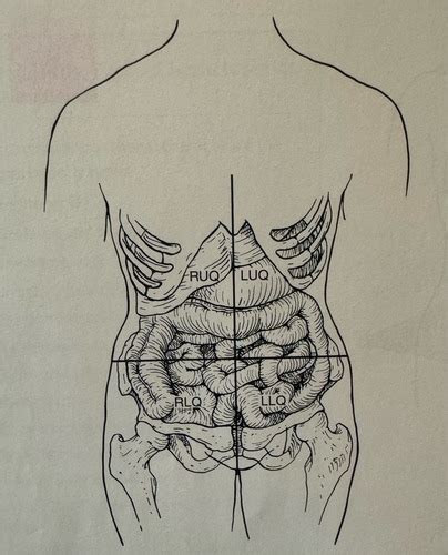 Chapter 6 General Procedural Considerations Quizlet