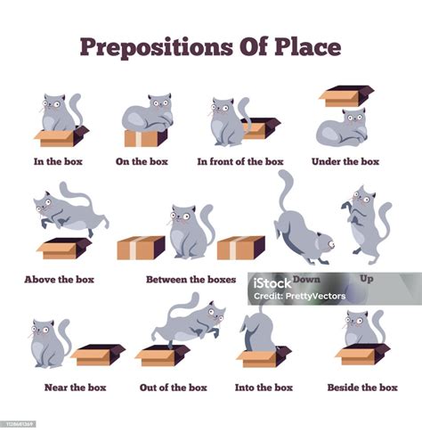 상자와 함께 다른 포즈에 귀여운 고양이 문자 영어의 전치사 외국 언어 개념의 공부 벡터 평면 만화 캐릭터 일러스트 절연 상자에