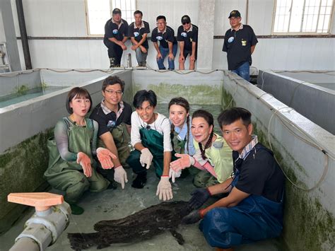 女星吹長笛招喚哥吉拉巨獸 龍膽石斑竟是雌雄同體