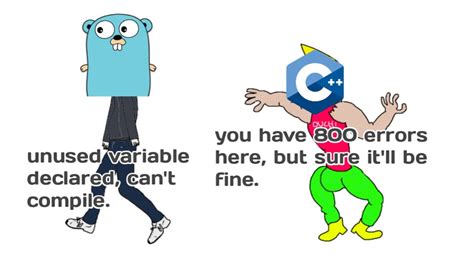 Go Vs C Errors Rprogrammerhumor