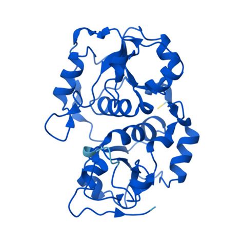 Rcsb Pdb Af Afk0emh8f1 Computed Structure Model Of Sulfurtransferase