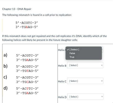 Solved Chapter 13 Dna Repair The Following Mismatch Is