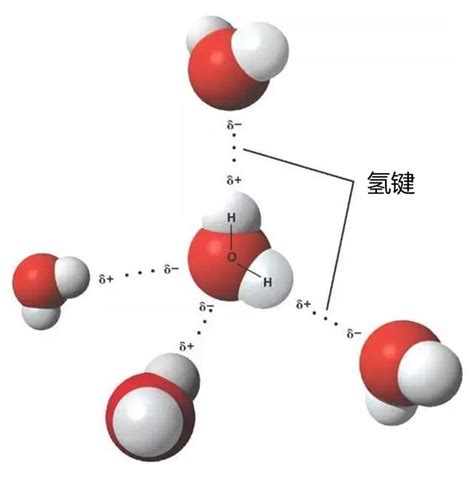 水分子结构图 千图网