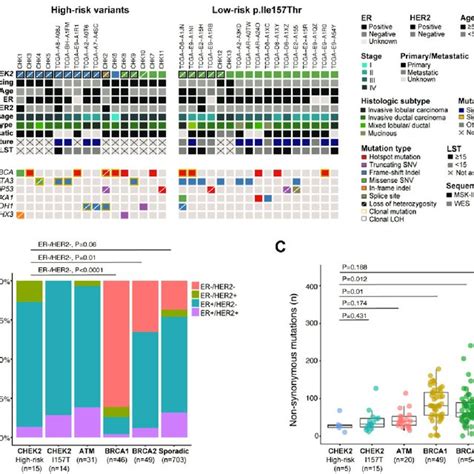 Pdf The Landscape Of Somatic Genetic Alterations In Breast Cancers