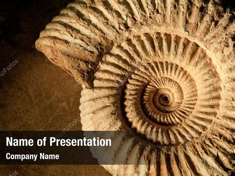 Closeup Of An Ammonite Prehistoric Fossil On A Ceramic Textured PowerPoint Template Closeup Of
