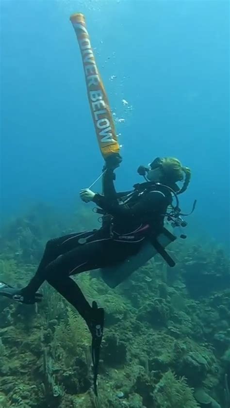 Pin By J J On Scuba Diving Women 7 Scuba Girl Diving Scuba Diving