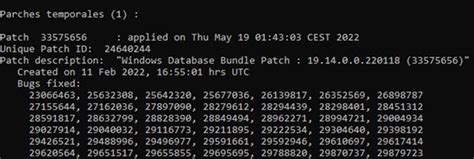 Parchear Una Base De Datos Oracle 19c En Windows Gpsos Es