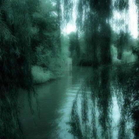 پنج تا انگشت درم کح وسطیع بـ احترام شما بالاس عکس ویسگون