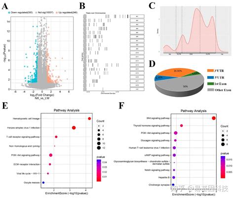 易基因： Merip Seq Rna Seq揭示不同品种猪肌肉发育的m6a Rna甲基化差异｜育种研究 知乎