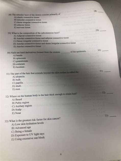 Solved 28 28 The Reticular Layer Of The Dermis Consists