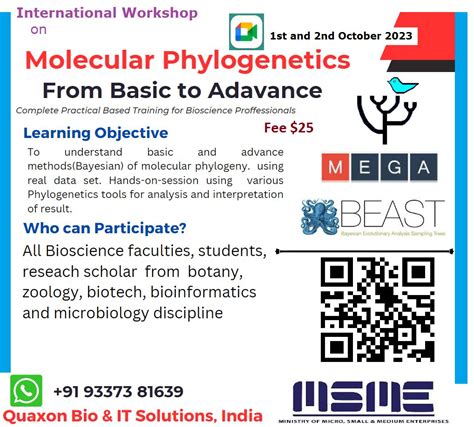 In Molecular Phylogenetics Most People Often Confused About Which