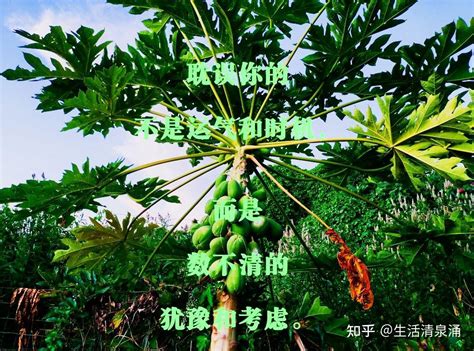 人生奋斗的动力，其实真正来自于这两方面 知乎