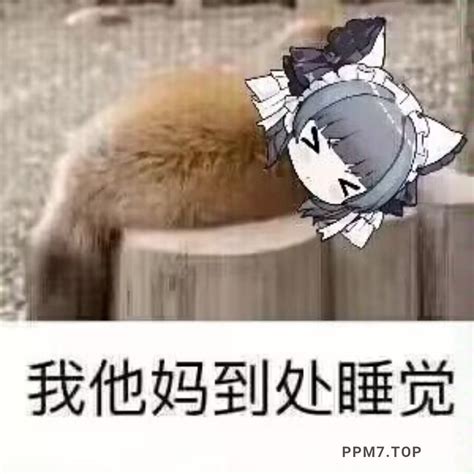 Roshenngy On Twitter 半个月前去了图书馆借书，顺便在大厅睡了个午觉，感觉很舒服；然后问朋友她那边的实验楼有睡午觉的地方