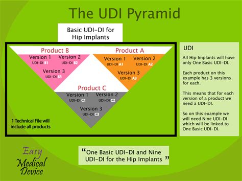 Udi Beginners Guide Unique Device Identification Eu Mdr And Ivdr
