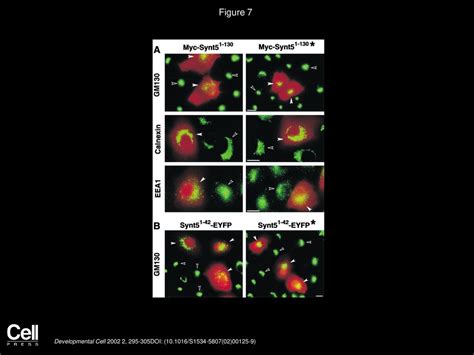 Volume 2 Issue 3 Pages March 2002 Ppt Download