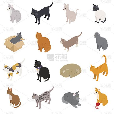 猫图标设置等距3d风格