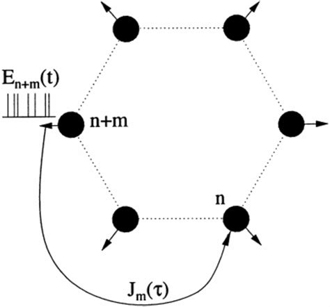 Basic Interaction Schematic For A Ring Of Pulse Coupled Download Scientific Diagram