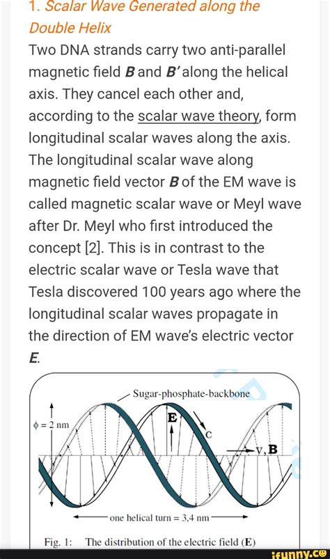 1 scalar wave generated along the double helix two dna strands carry