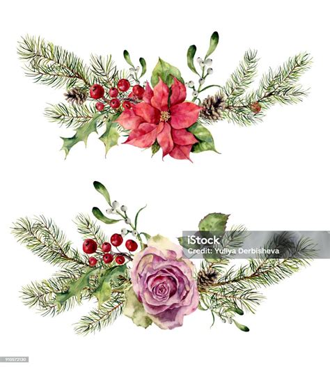 수채화 겨울 꽃 요소 흰색 배경에 고립입니다 빈티지 스타일 크리스마스 나무 가지 장미 홀리 미 슬 토 포 인 세 티아 꽃 나뭇잎 꽃 손으로 그린 디자인 장미에 대한 스톡