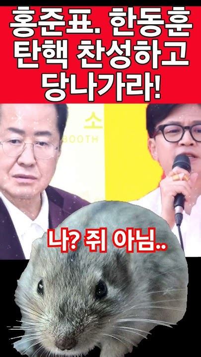 홍준표 한동훈 尹탄핵하고 당 나가라 Youtube