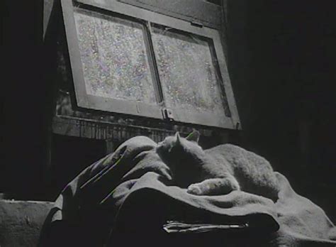 The Alfred Hitchcock Hour An Unlocked Window Cinema Cats