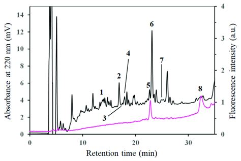 Rp Hplc Analysis Of The Dane Modified Csin Fragments After Tryptic
