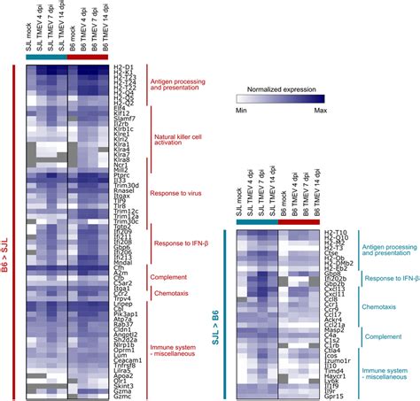 Heatmap Showing Expression Of Selected Differentially Expressed Genes Download Scientific