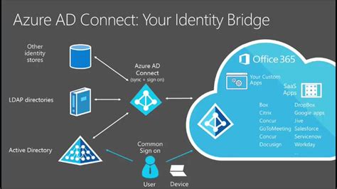 Azure Active Directory B2C Generally Available In North America WinBuzzer