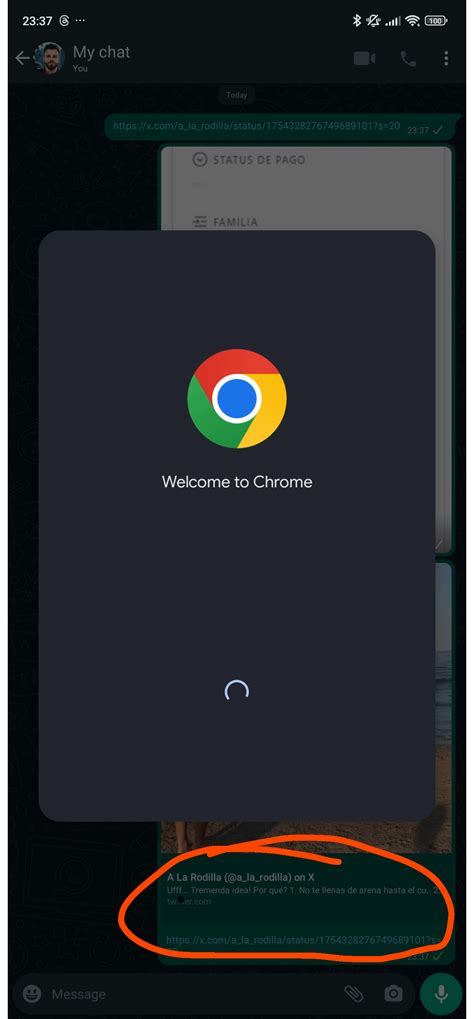 Bug Chrome Keeps Loading After Updating To Hyperos Rhyperos