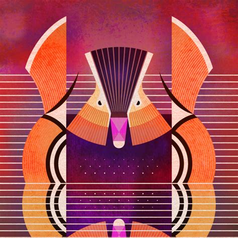 These Are The Migatory May 2025 Species I Have Posted In Previous