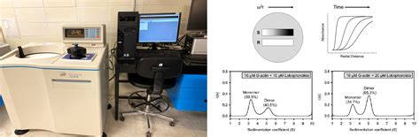 Analytical Ultracentrifugation Auc Biomedical And Molecular