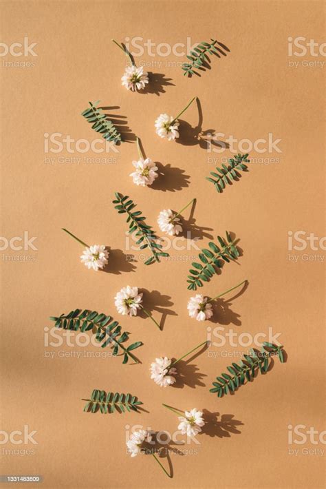 파스텔 배경에 흰색 꽃과 잎으로 만든 창조적 인 여름 구성 아름다운 꽃 레이아웃 자연 개념 맨 위 보기입니다 플랫 레이 개념에