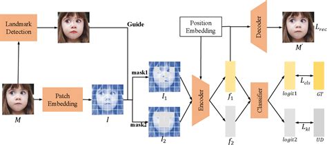 Figure 2 From Patch Aware Representation Learning For Facial Expression Recognition Semantic