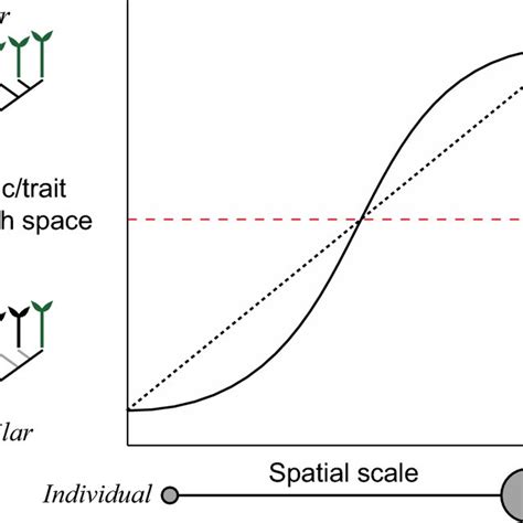 Diagram Showing How Distance Based Moran Eigenvector Map Dbmem Was Download Scientific