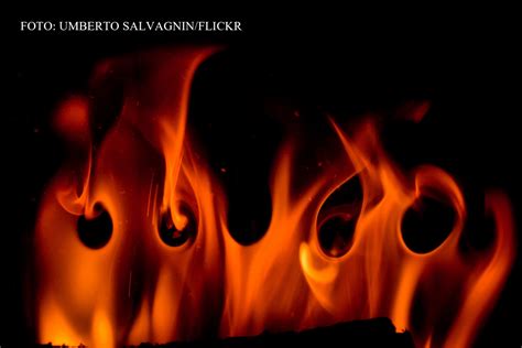 Stiri Paduchi Stirileprotv Ro