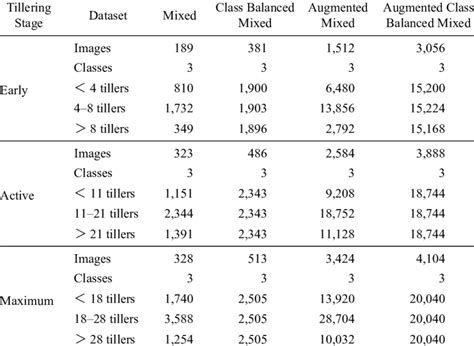 Composition Of Training Dataset For Each Stage Of Tillering Number Of