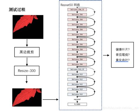 Pytorch对植物病虫害迁移学习分类pytorch 分类病虫害 Csdn博客