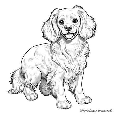 Cavalier King Charles Spaniel Coloring Pages Free And Printable