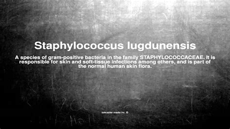 Medical Vocabulary What Does Staphylococcus Lugdunensis Mean Youtube