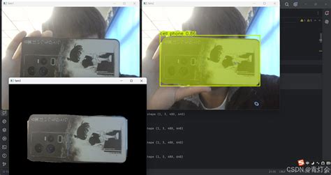 使用yolo11对感兴趣的区域进行分割提取yolo11n Seg Csdn博客