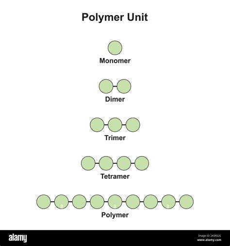 Scientific Designing Of Polymerization Reaction Converting Monomers To Polymer Colorful