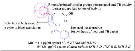 Structure Activity Relationship Of The Synthesized Compounds Download