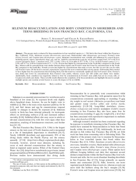 Pdf Selenium Bioaccumulation And Body Condition In Shorebirds And Terns Breeding In San