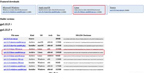 Linux下go环境安装、环境配置并执行第一个go程序 Linux Go工作目录 Csdn博客
