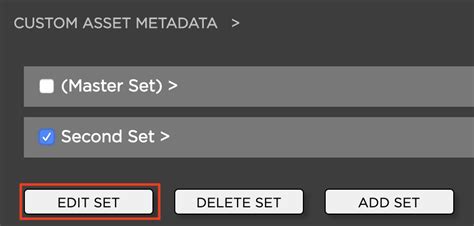 Modifying A Metadata Set Skies Manuals Latest