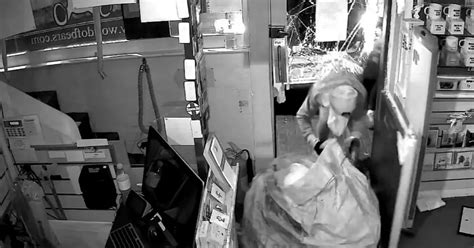 Teddy Bear Burglary Witness Heartbroken After Friends Are Stolen From Shop Somerset Live