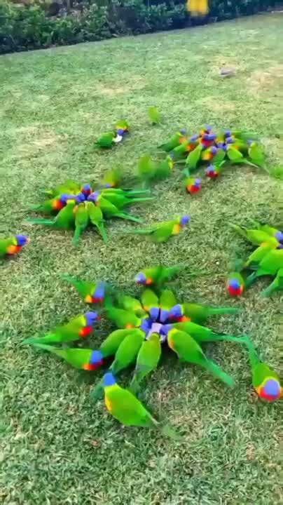 Muhammad Nadeem On Linkedin Write Follow