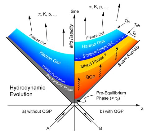 2 Schematic Representation Of A Heavy Ion Collision Plotted As A
