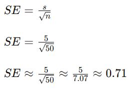 Standard Error Dalam Statistika Pengertian Makna Rumus Dan Contoh Soal Lengkap Warung